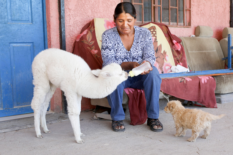 El amor según las maestras aymara — Artesanías de Chile - Tienda online